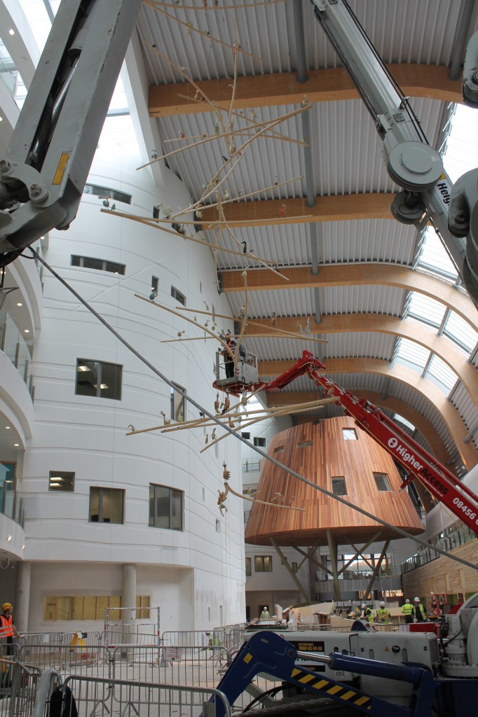 alder hey children's hospital, 2016