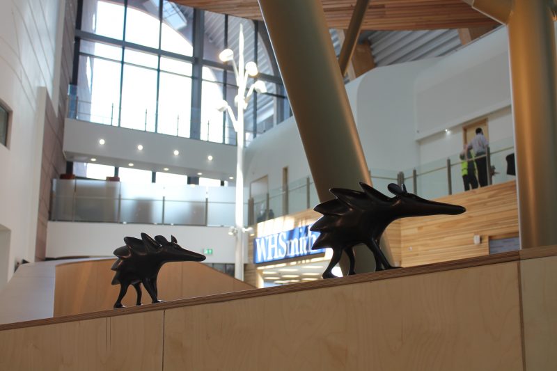 alder hey children's hospital, 2016